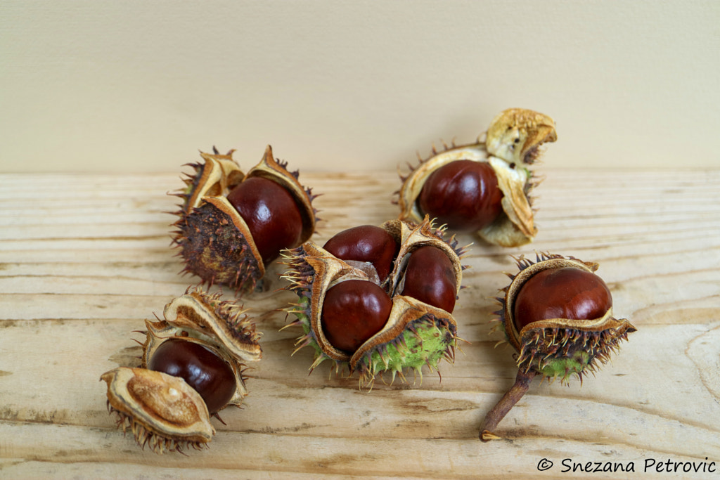 Chestnuts With A Green Peel On A Wooden Board by Snezana Petrovic / 500px