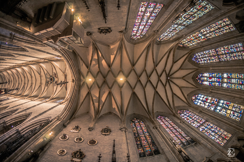 Ulmer Munster by Zophia Ewska / 500px