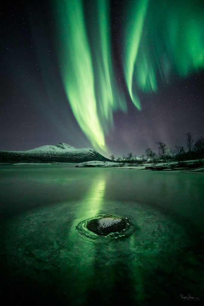 Flaming Ice by Frøydis Dalheim / 500px