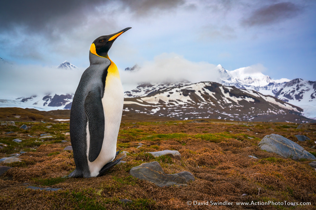 Heel Stand by David Swindler / 500px