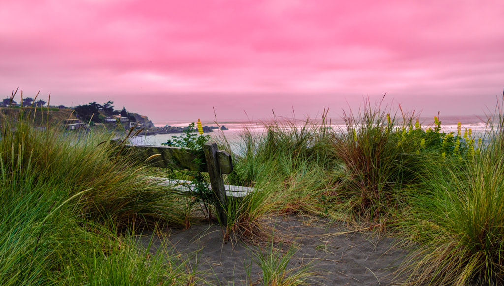 Scenic view of field against sky during sunset by Rodrigo Castillo / 500px
