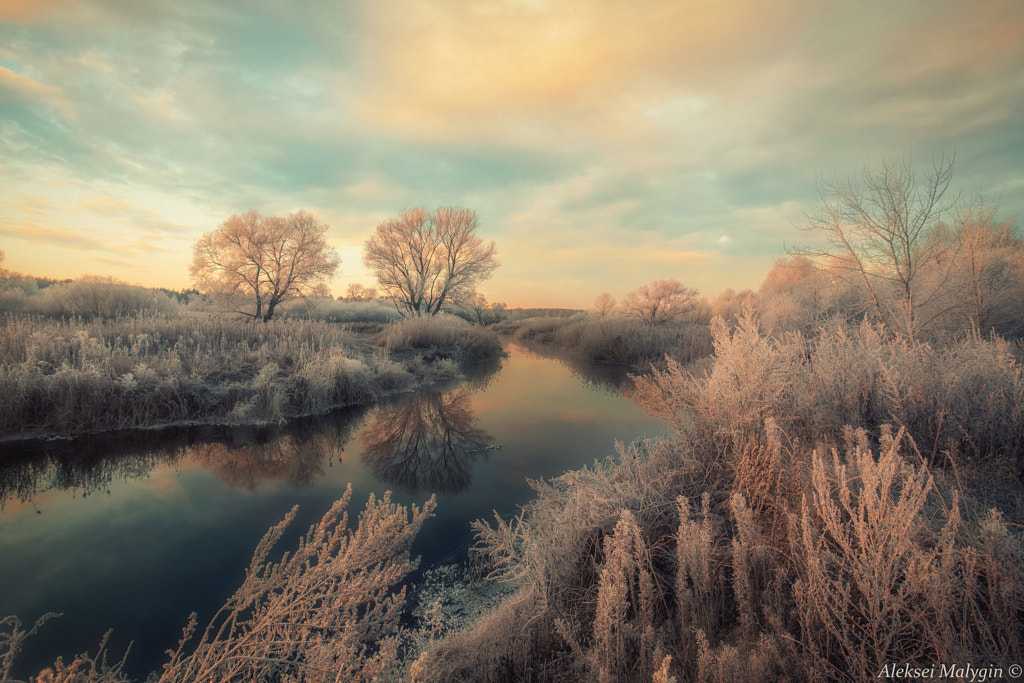 Frosty morning by Aleksei Malygin / 500px