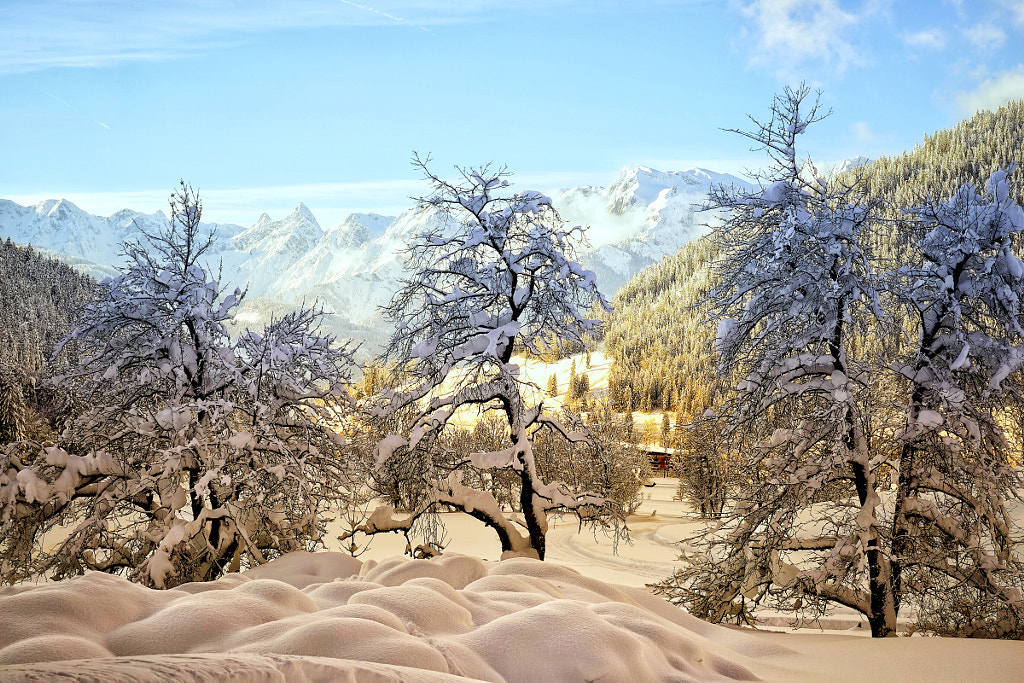 Vorfreude by Paul Berlin / 500px