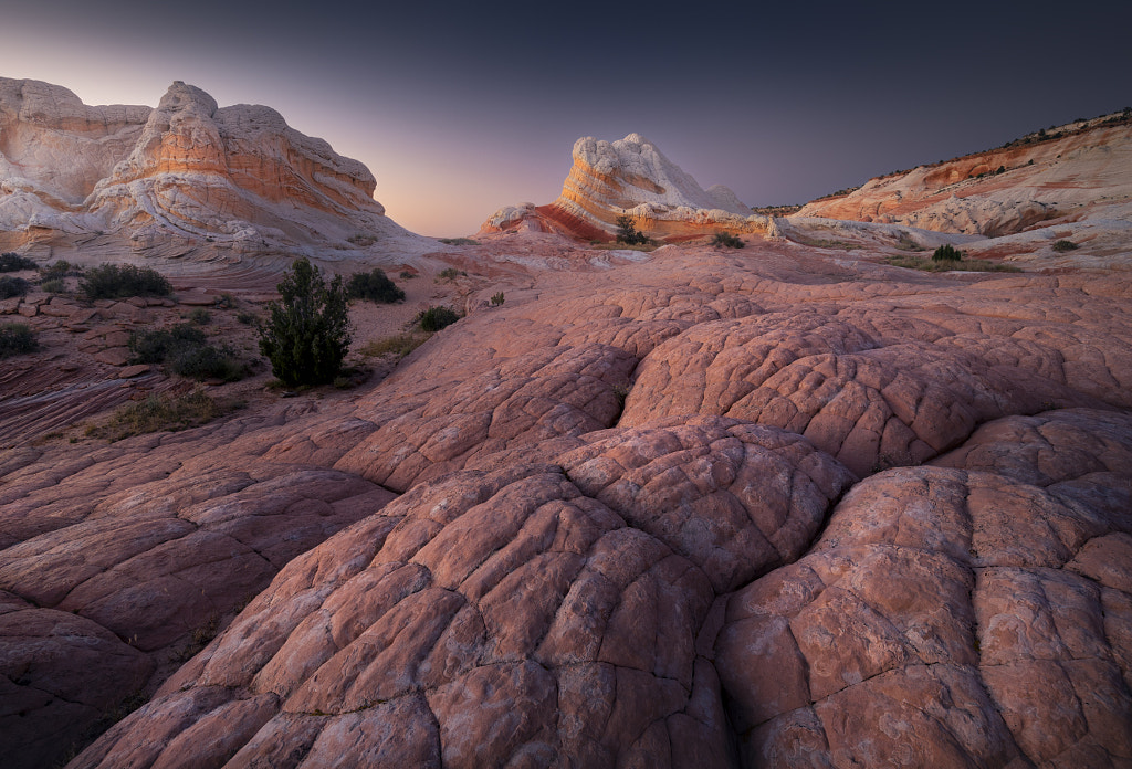 Brain Rocks by Karol Nienartowicz / 500px