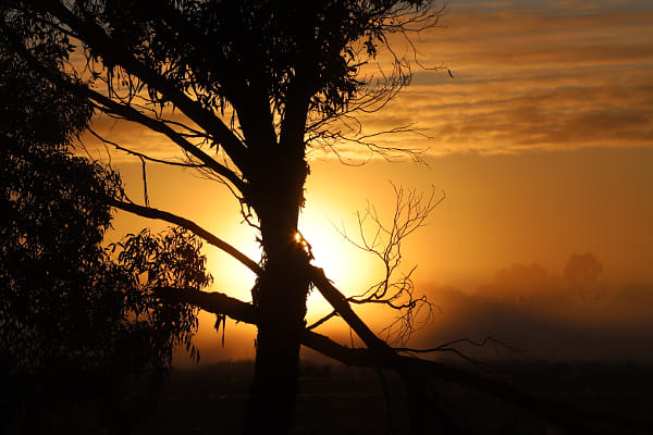 Bruce Prothero (brucexxp) Profile / 500px