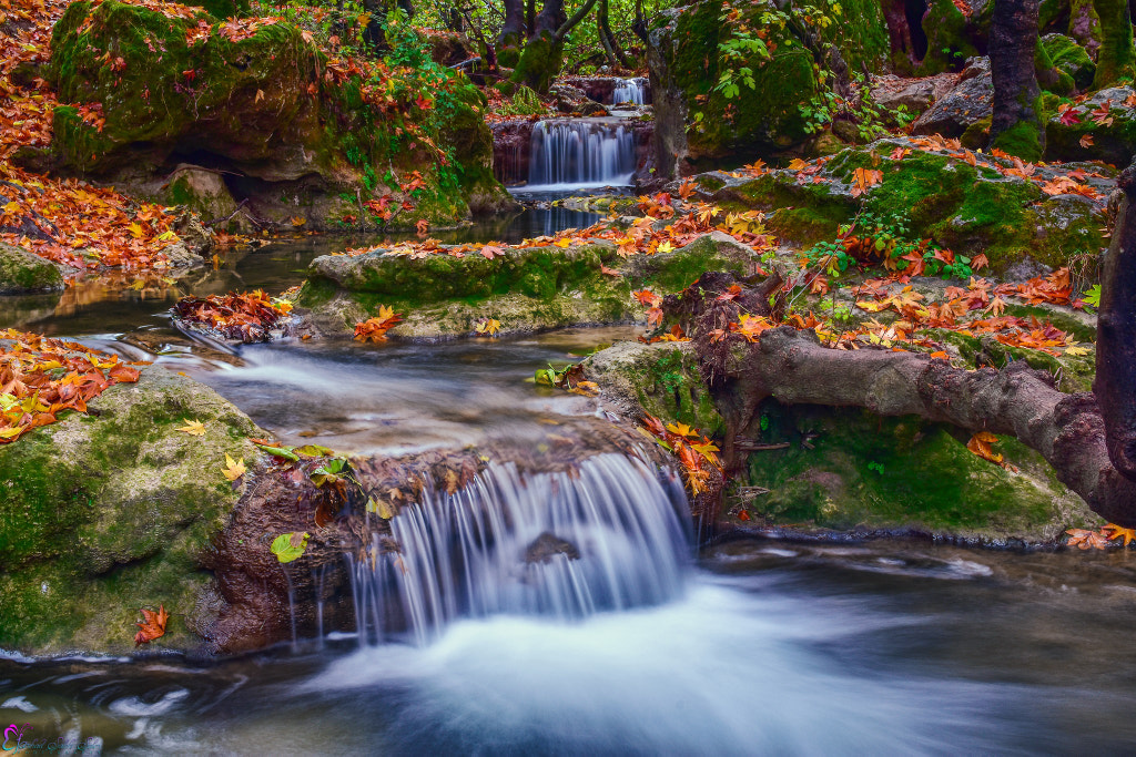 Kurdistan Barzan by Farhad Saleh Salim / 500px