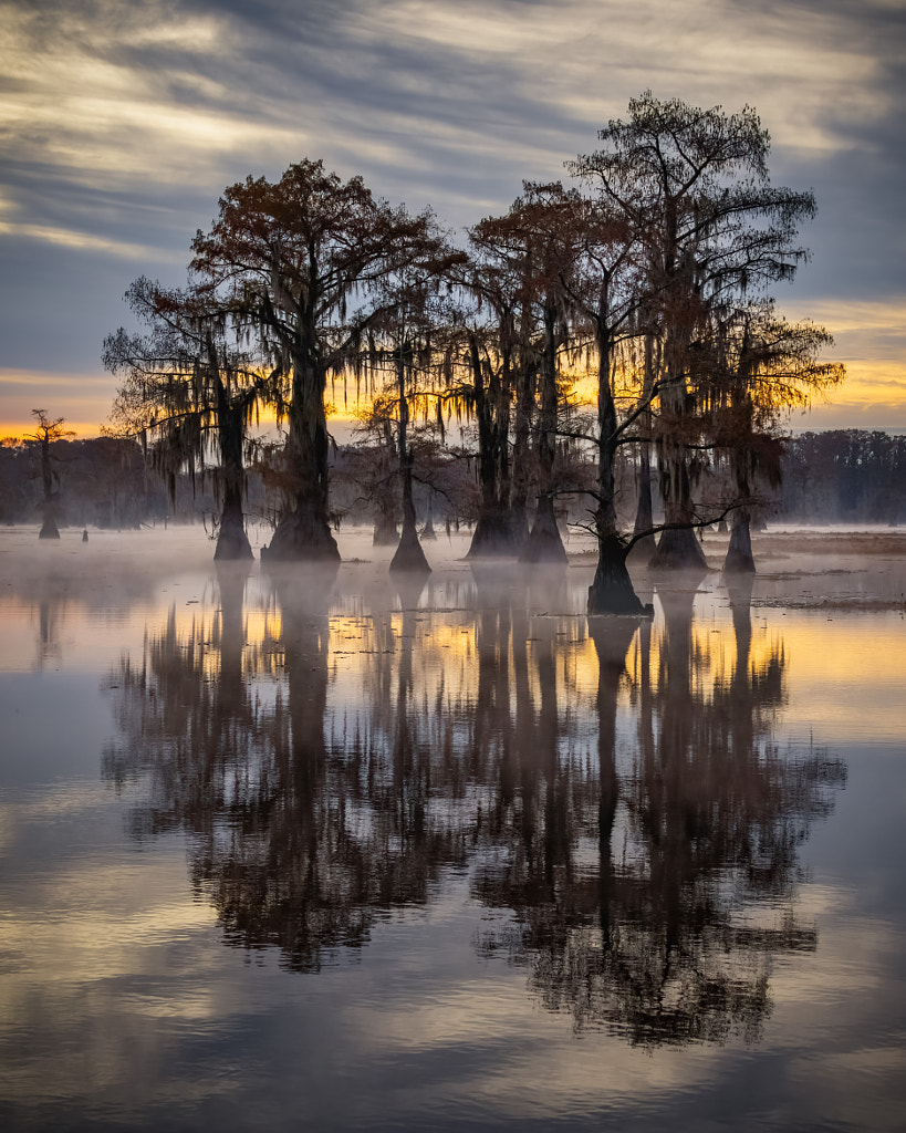 Fall Sunrise In an East Texas Swamp by Dean Fikar / 500px