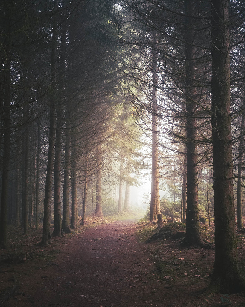 Move On by Adrian Zurbriggen / 500px