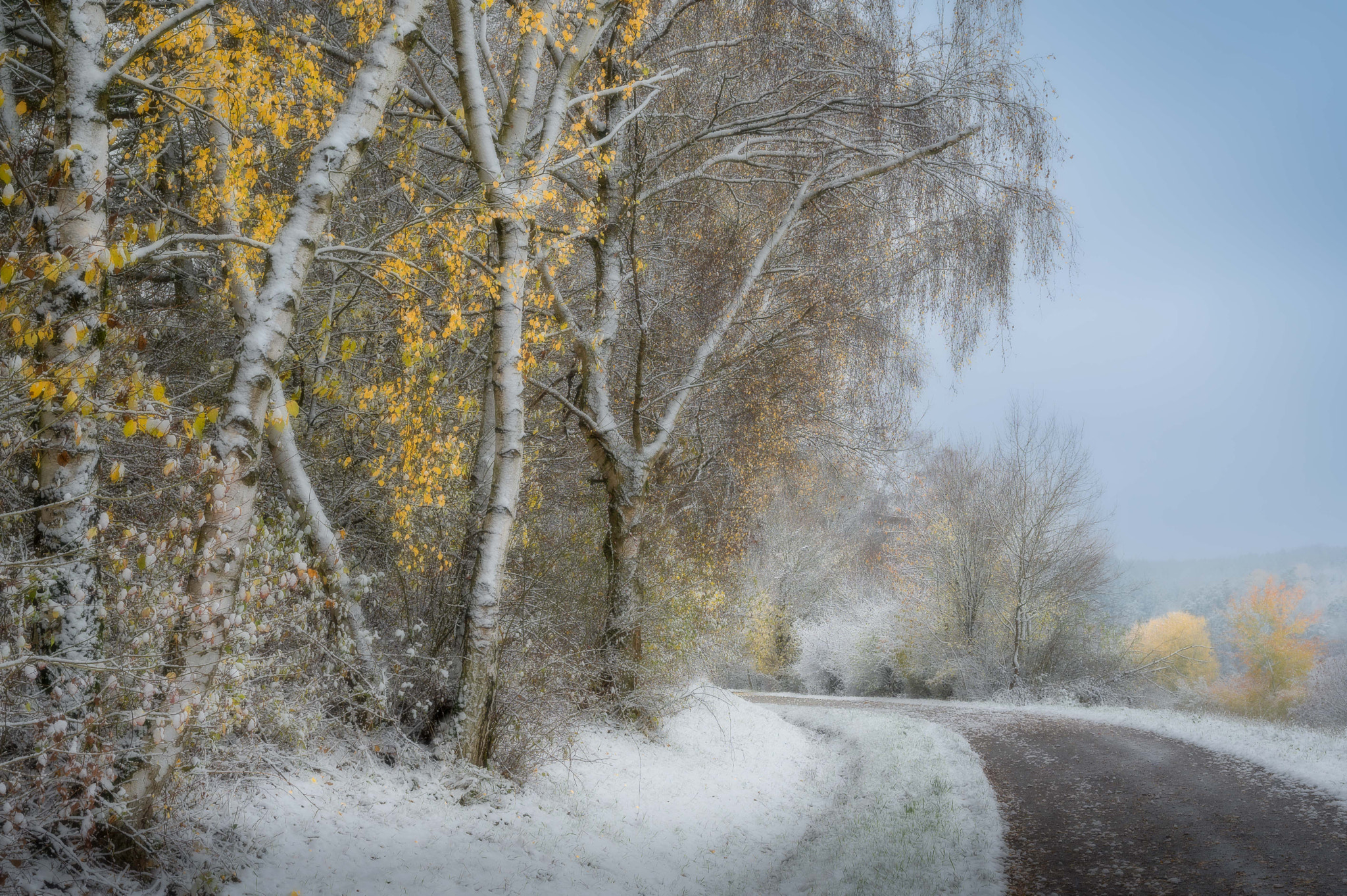 autumn meets winter 3913 .... Merry Christmas! by Hans Zitzler / 500px