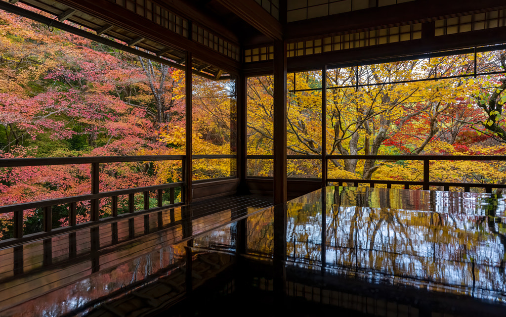 Reflected Colors of Late Autumn by Kotomi Ito / 500px