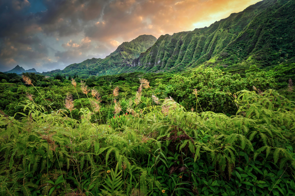 Koolau Vista by Warren Ishii / 500px