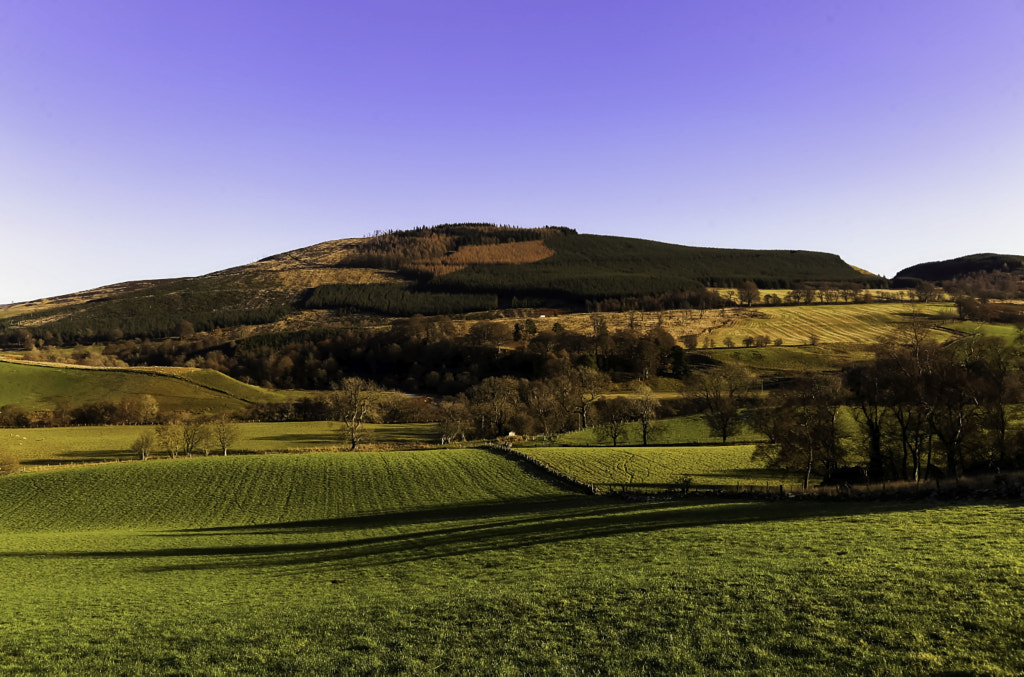 Scenic view of field against clear sky by Hilda Murray / 500px