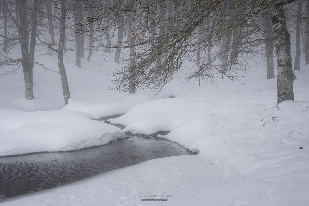 Snowy stream in winter by Giuseppe Fusco / 500px