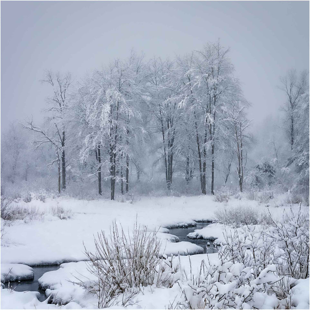 B&W in color by Gordon Sheret / 500px