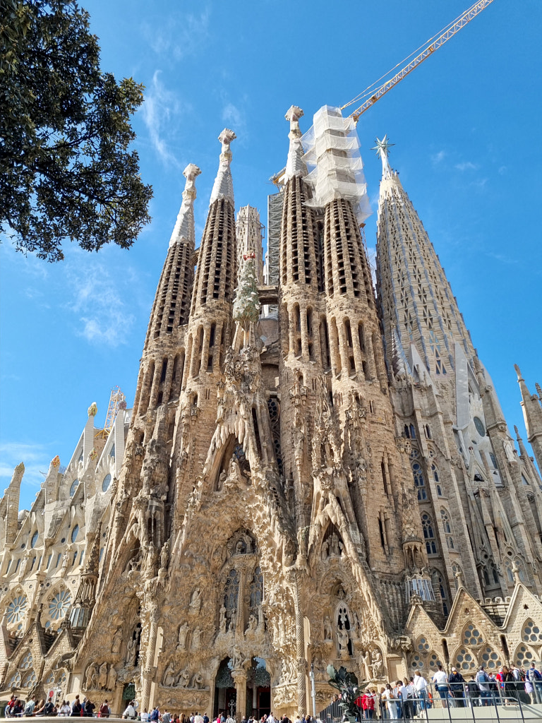 Sagrada Familia in Barcelona, Spain by Darina Lurina / 500px