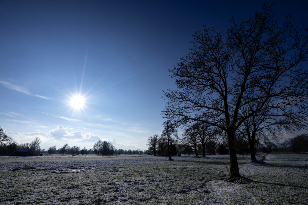 Cold and clear by Oliver Dünser / 500px
