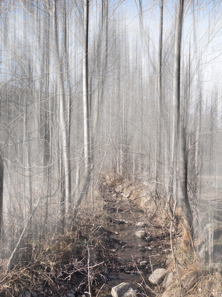 shadow effects by Jean Marc Lopez / 500px