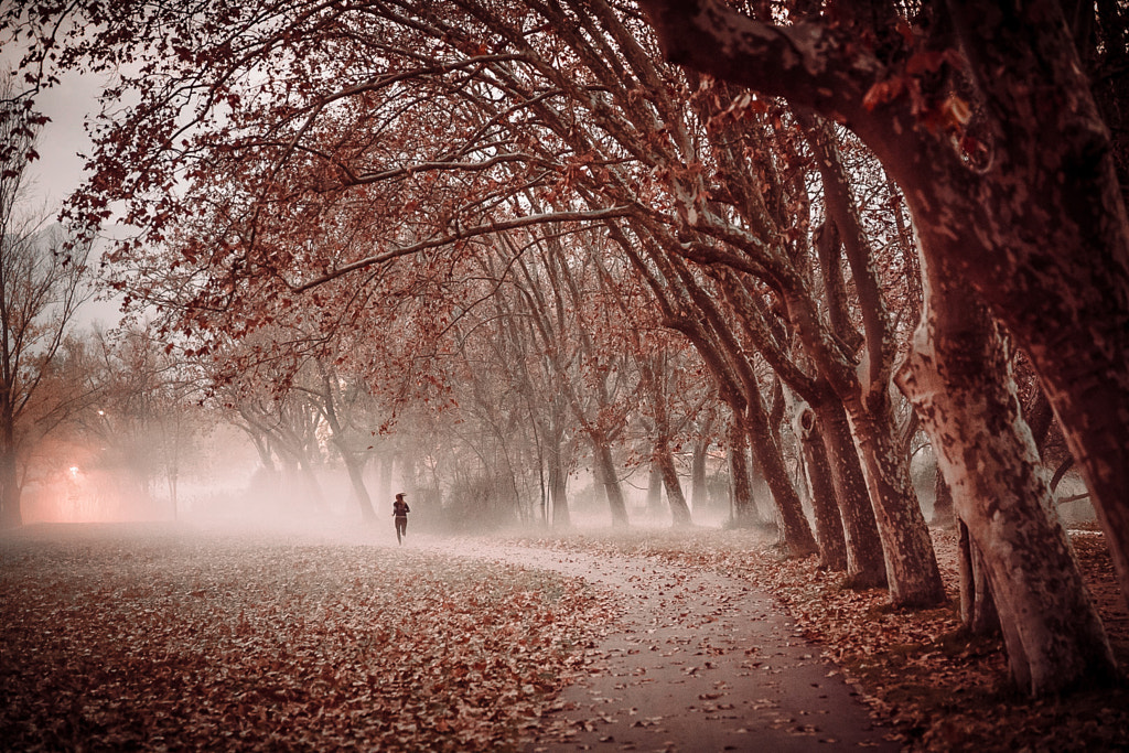 Into the fog by Toni Castells / 500px