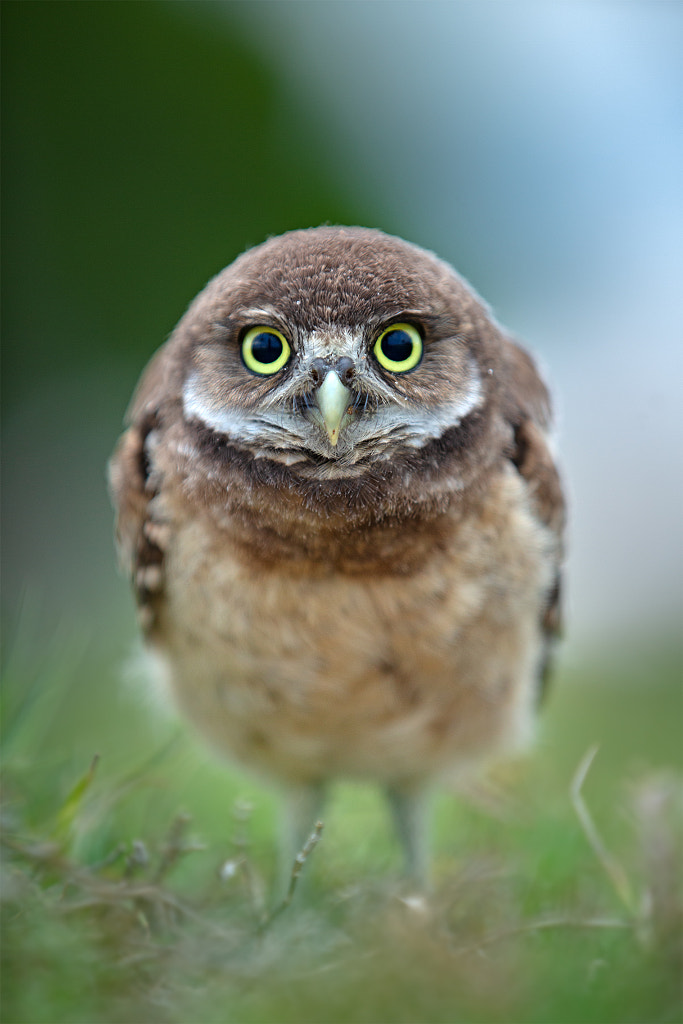 What? by Jon Albert / 500px