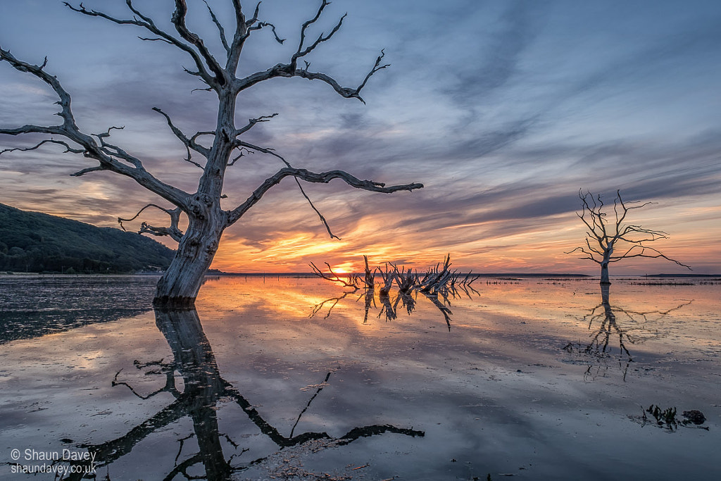 High tide sunset on Porlock Marsh by Shaun Davey / 500px