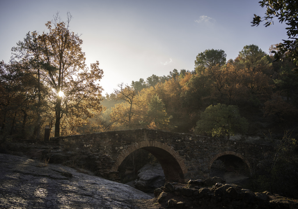 In the morning on the bridge by Emanuel Bossio / 500px