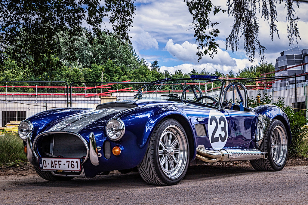 Cobra by Inge David / 500px