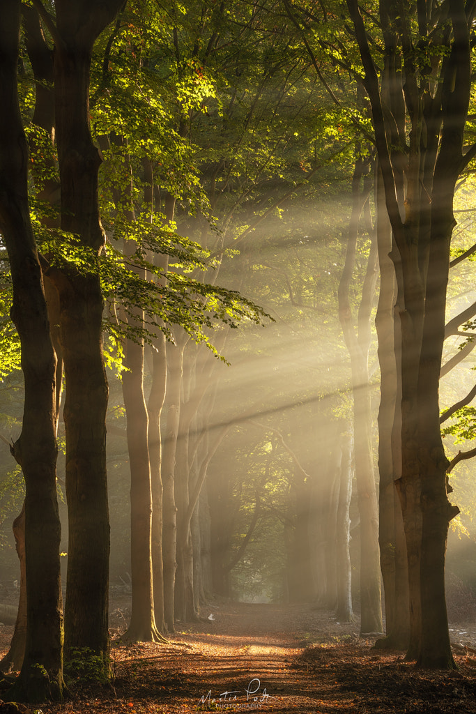 Magical sunrays by Martin Podt / 500px