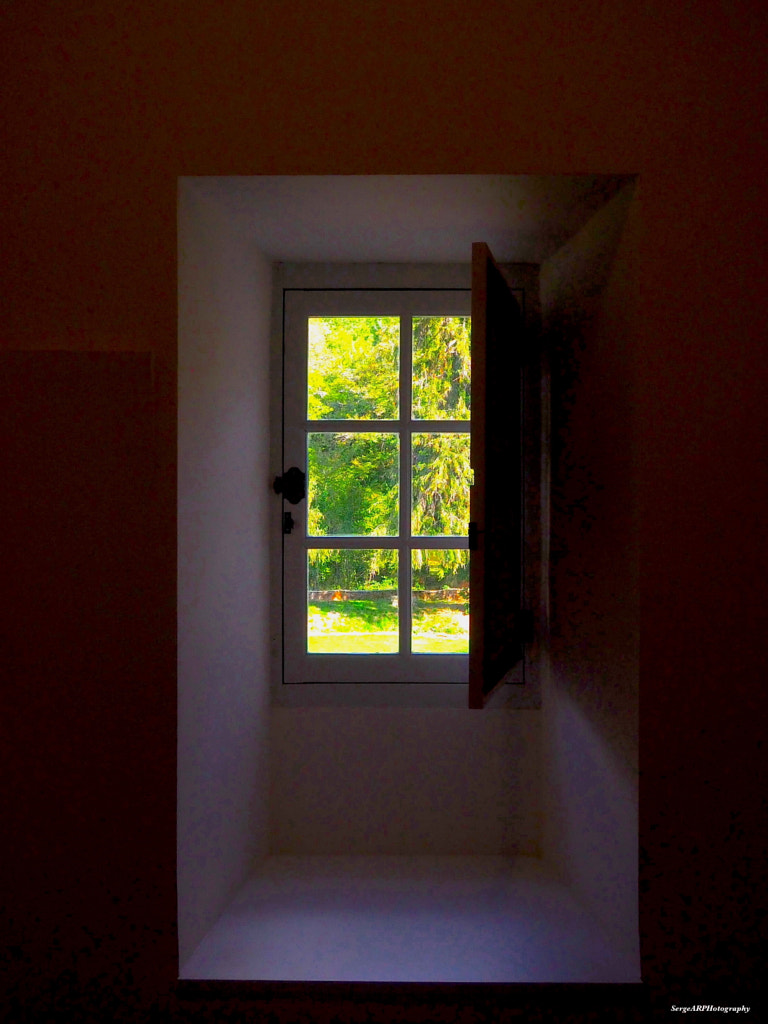 Window on the park by SergeARPHotography Arphi / 500px