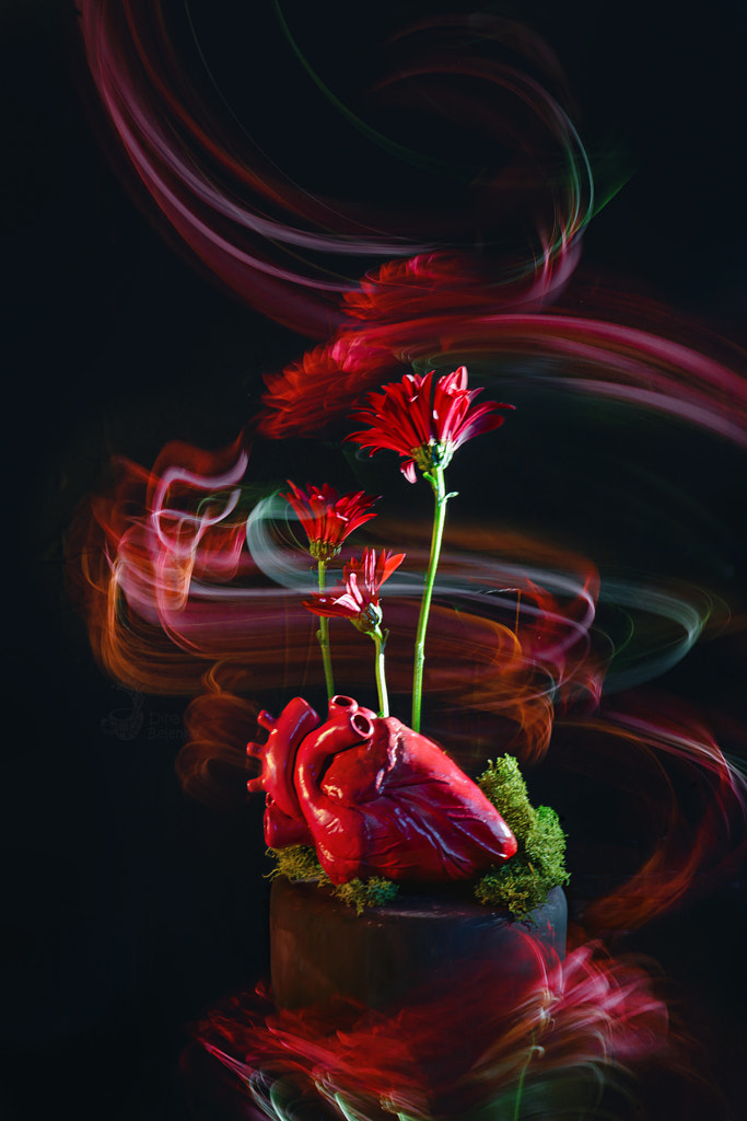 New Beginning by Dina Belenko / 500px