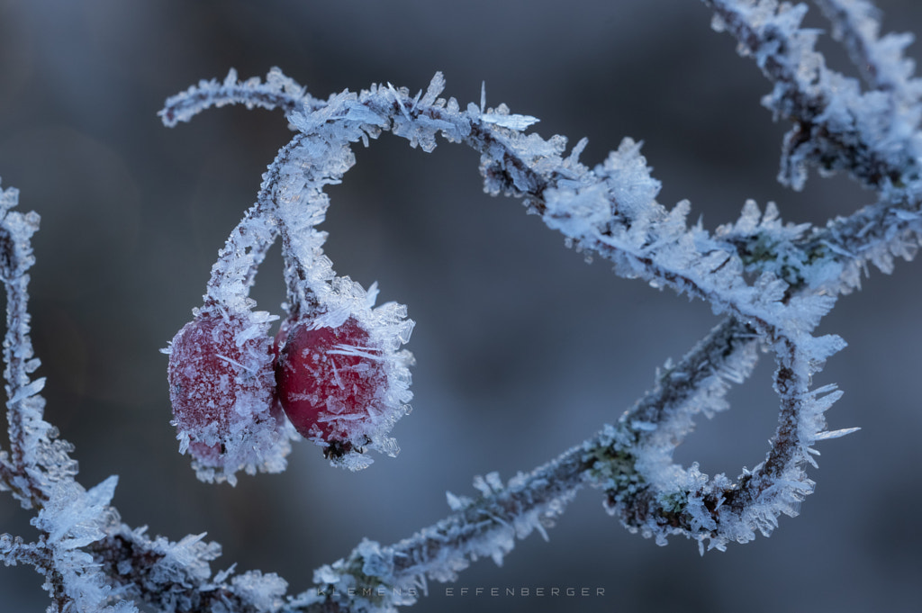 December impressions I - Coated by Klemens Effenberger / 500px