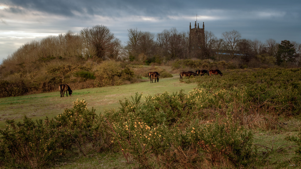 The Church of St Andrew. by EncroVision / 500px