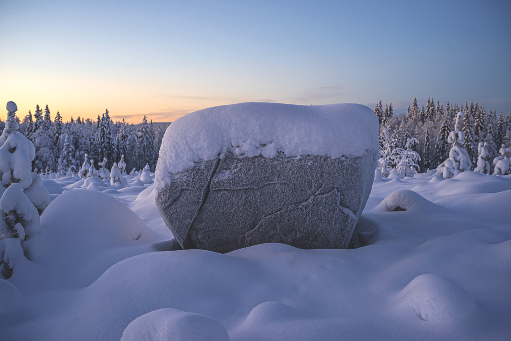 Stone 2022 by Javier Guevara / 500px