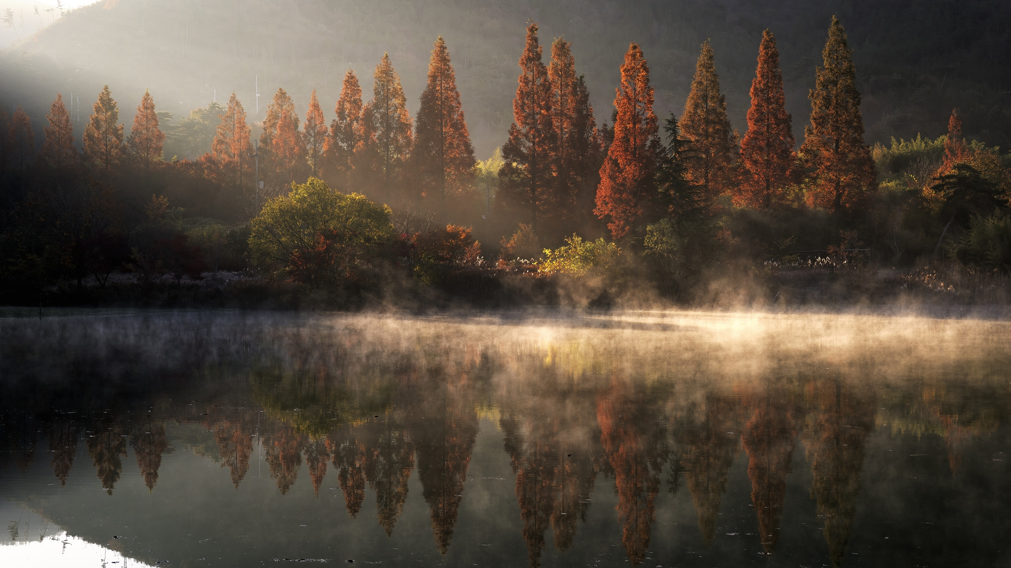 Good Morning by Tony Lee / 500px