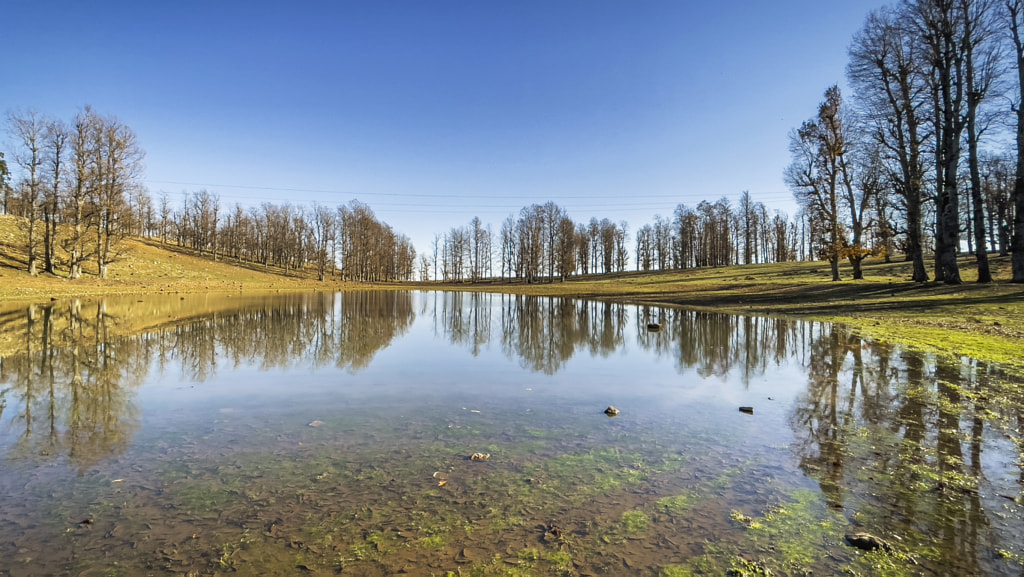 Scenic view of lake against clear sky by Noureddine Belfethi / 500px