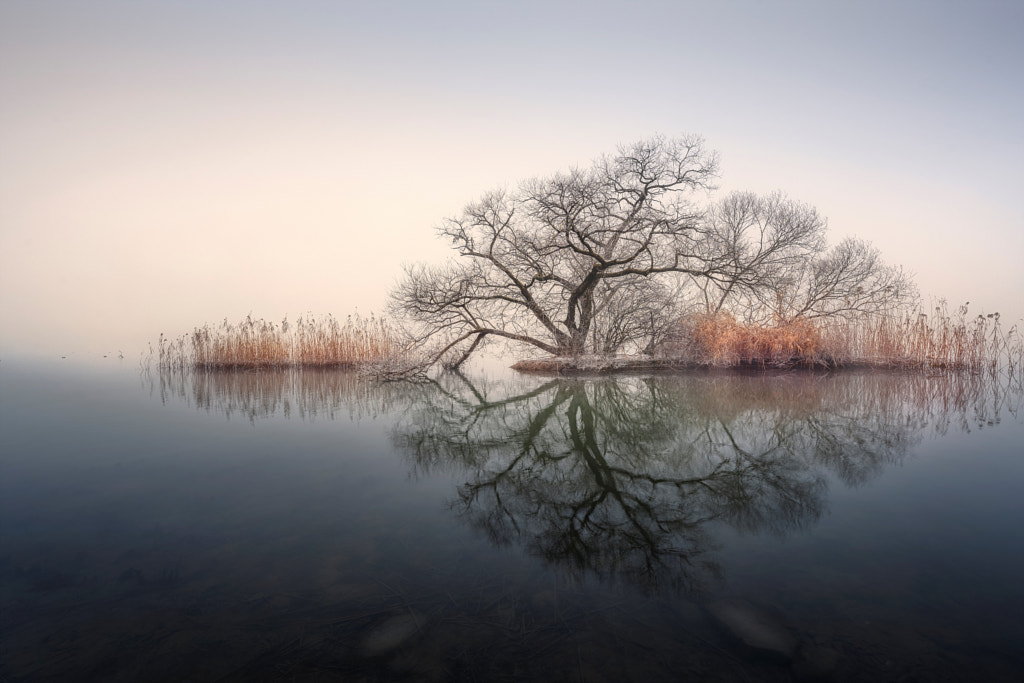 reflection by Jungsik Park / 500px