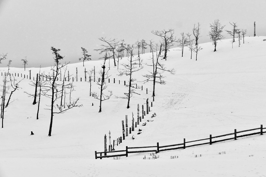 Winter graphics by Svetlana Povarova Ree / 500px