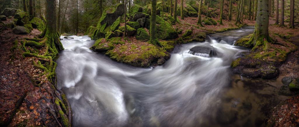 River perspective in undergrowth by Robert Didierjean / 500px
