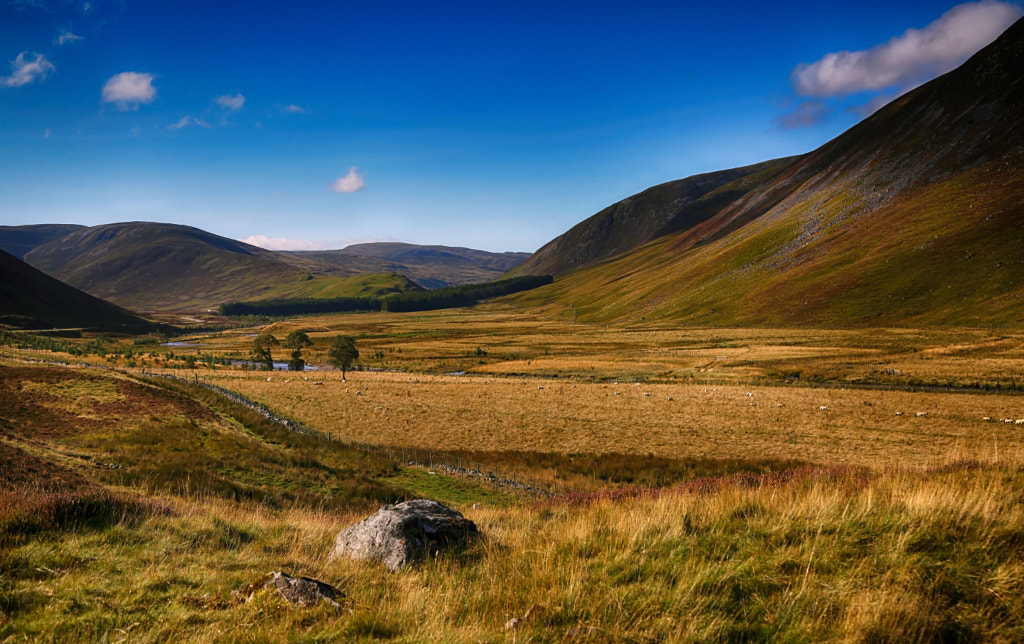 Scenic view of field against sky by Hilda Murray / 500px