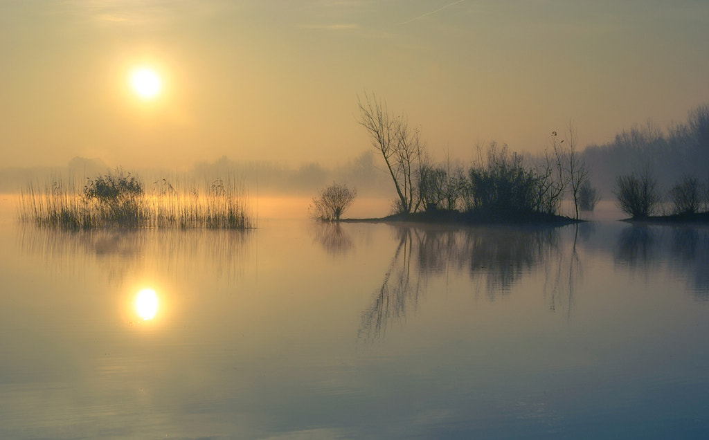 Morning sun by Andy58/András Schafer / 500px