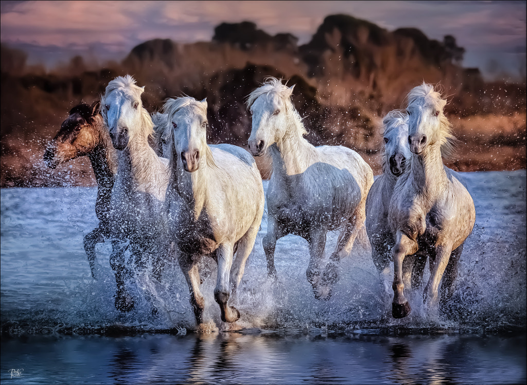 Fun Time .... by Paul Keates / 500px
