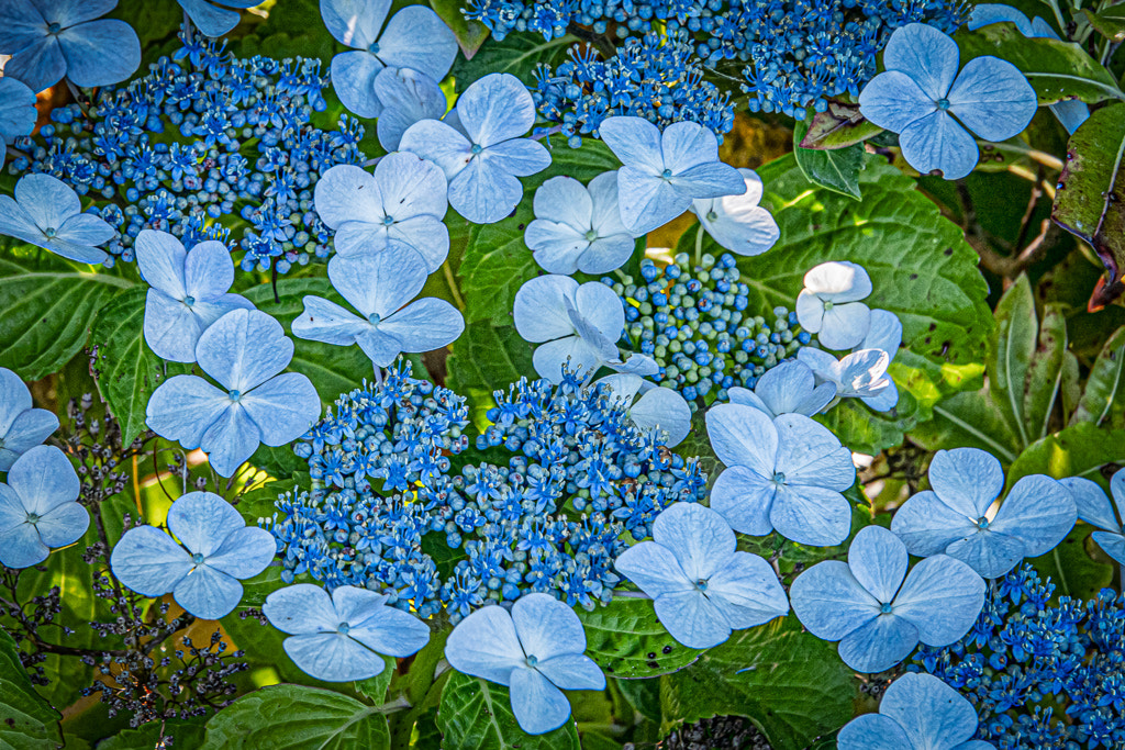 Summer in December by Barbara Russell / 500px