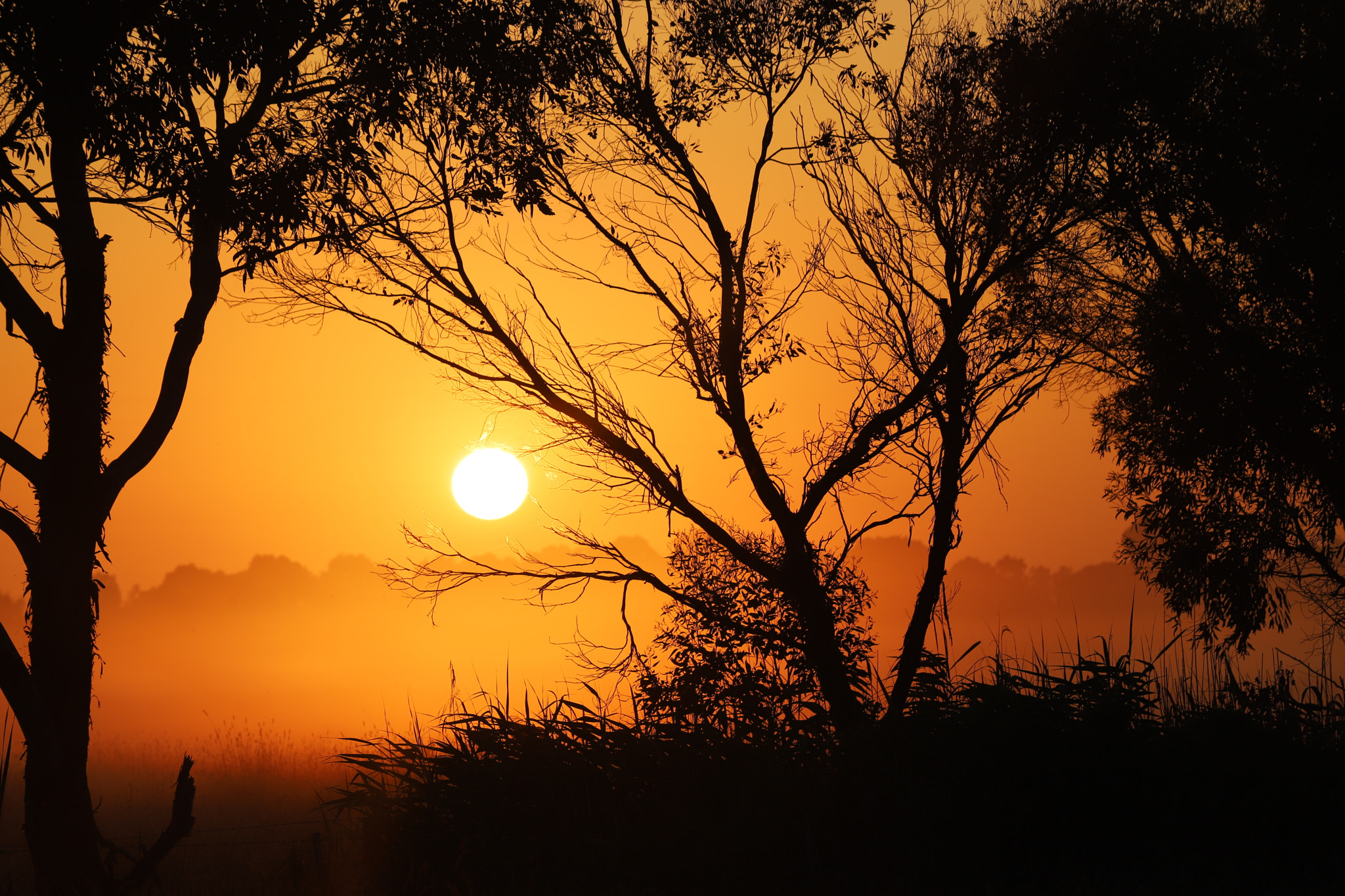 Morning Decadence! by Bruce Prothero / 500px