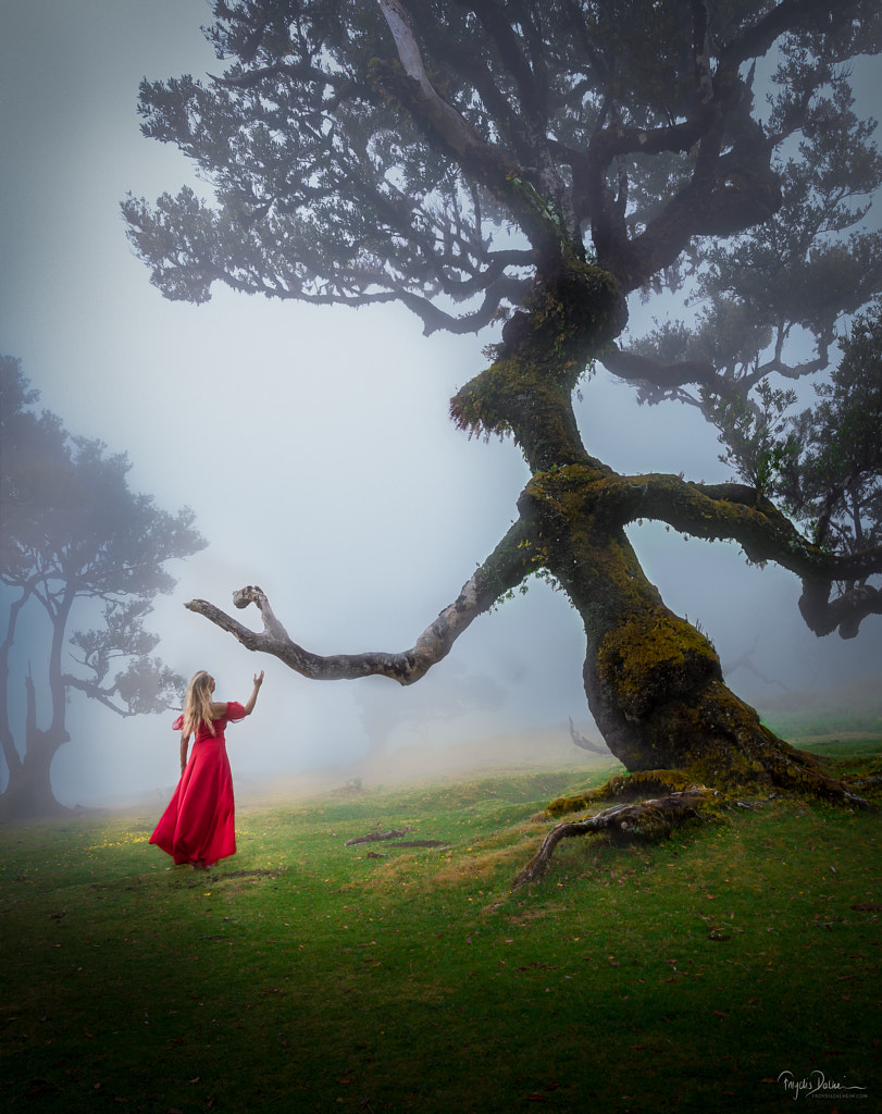 Moment from the Past Year by Frøydis Dalheim / 500px