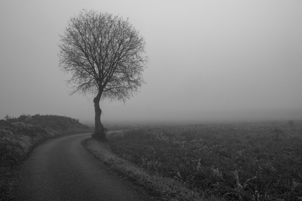 Countryside in a foggy winter day by Gianluca Vareschi / 500px