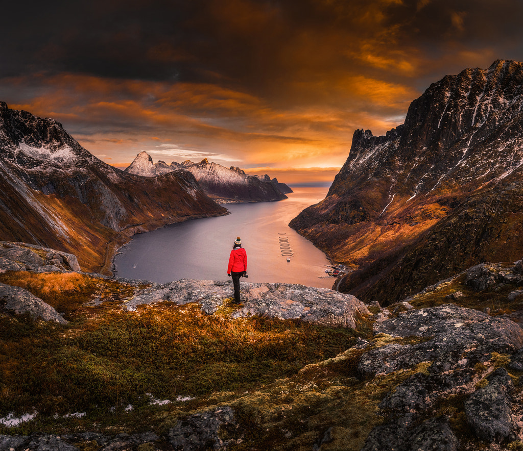 Golden Morning by Patryk Biegański / 500px