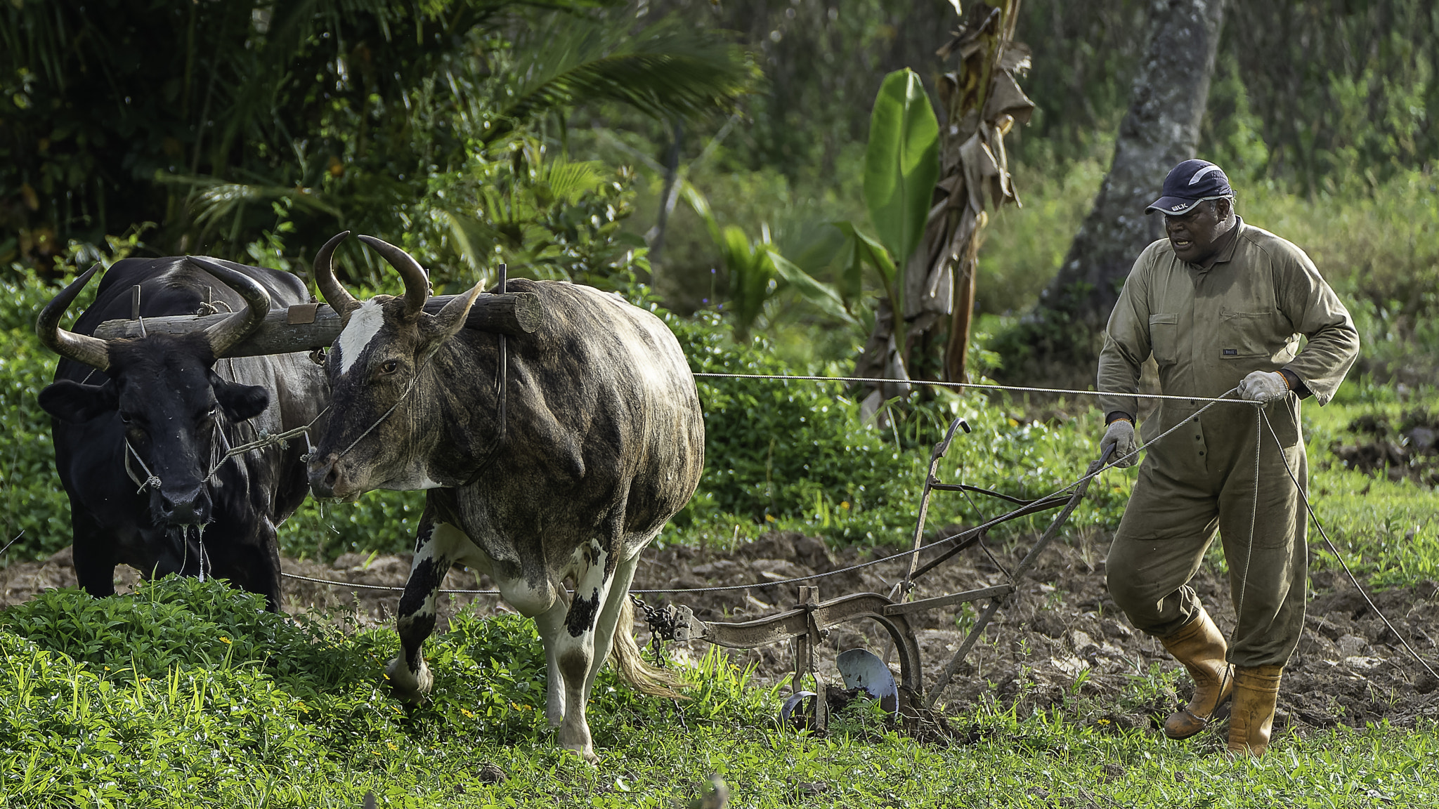 Fijian Farmer by Greg / 500px