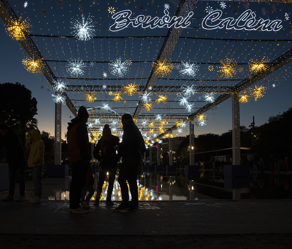 Silhouette people standing by illuminated christmas tree at night by ...