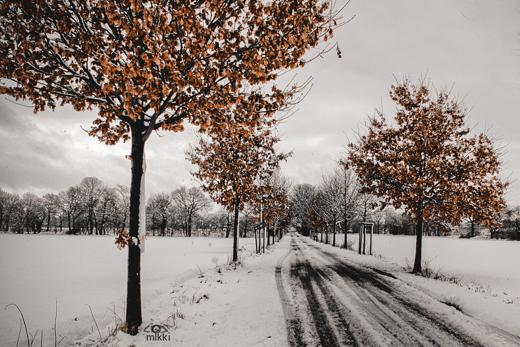 10 Years Ago by Michelle "Mikki" Castañeda / 500px