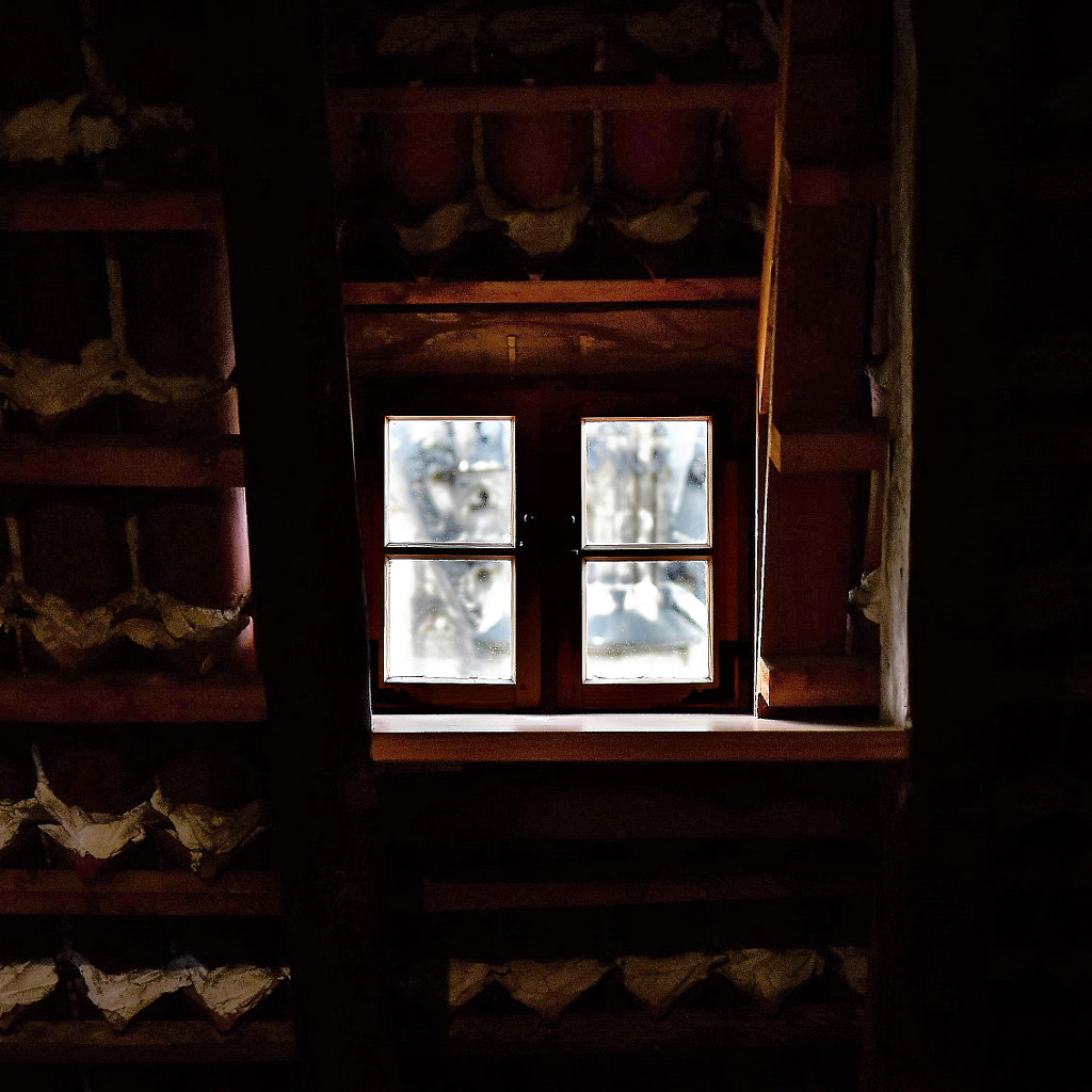 View from the window under the roof by Reinhard Wolf / 500px