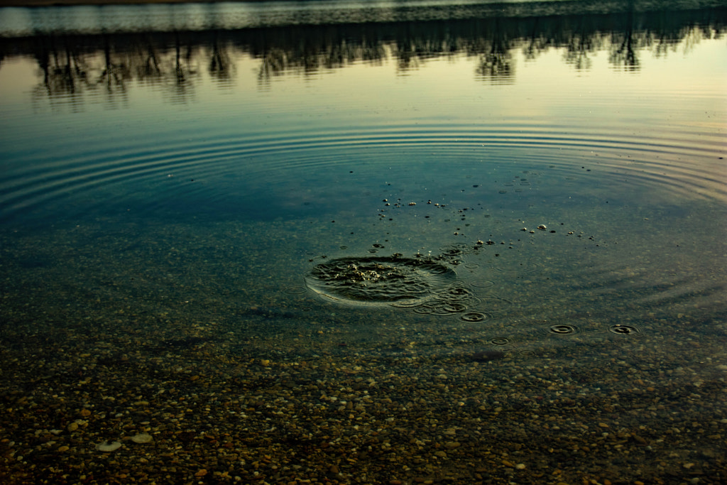 Pebble dropped in lake by Nikola Simic / 500px